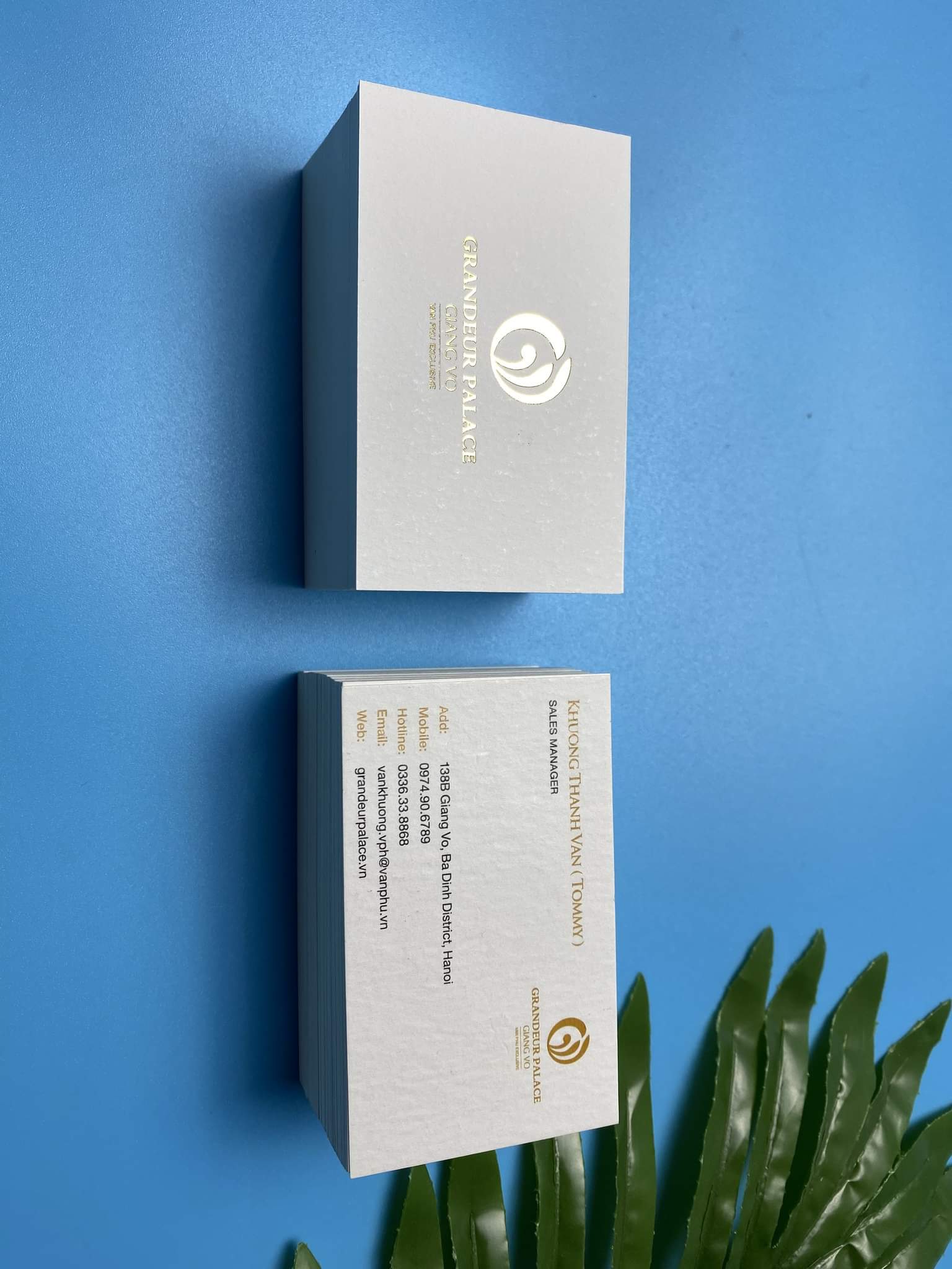 In Card Visit Giá Rẻ Những Lưu ý Khi In Card Visit